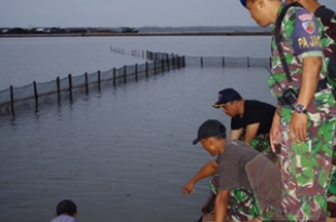 Penangkaran Penyu di Lanud Ranai | Website Tentara Nasional Indonesia