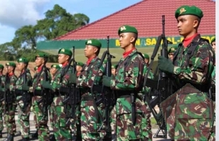Danyonif 113/JS : Disiplin dan Militansi Adalah Ciri Parjurit Badak ...