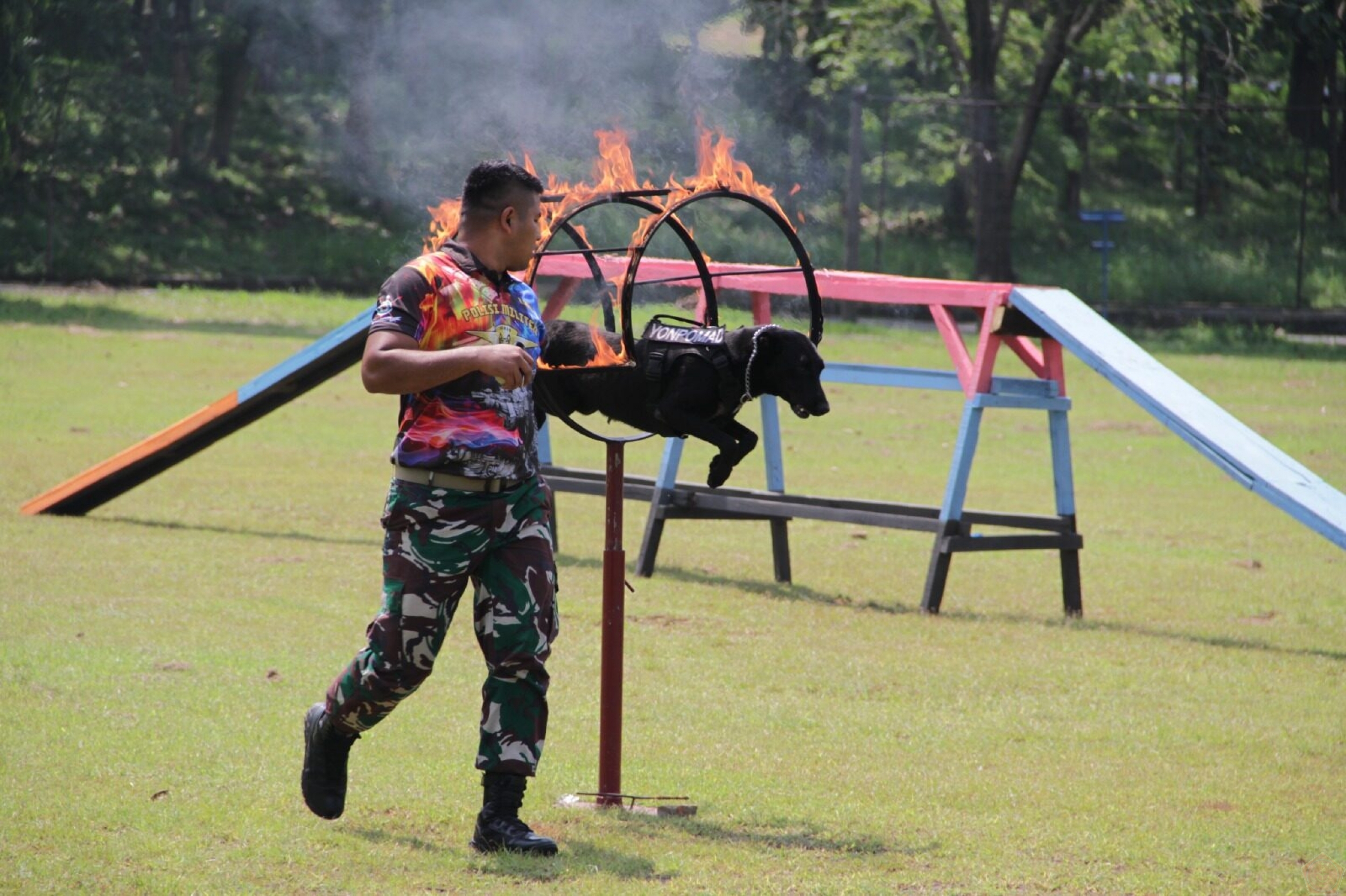 Tim Satwa K-9 Yonpomad Puspomad, Dari Kegiatan Protokoler Kenegaraan ...