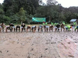 Kodim Jajaran Korem 032/Wirabraja Secara Serentak Tanam Padi | Website ...