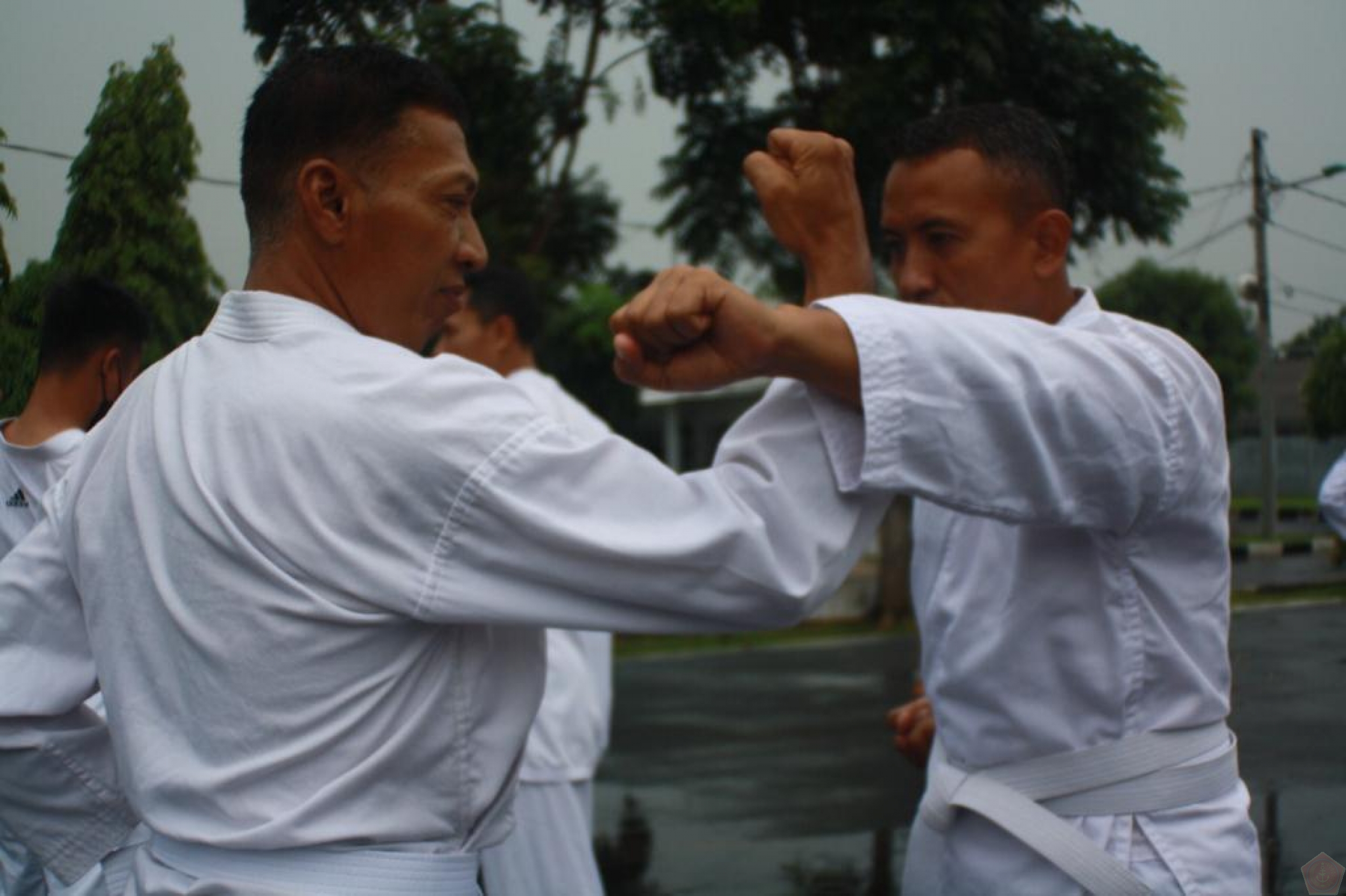 Prajurit Petarung "Hiu Perkasa" Yonmarhanlan III Berlatih Karate ...