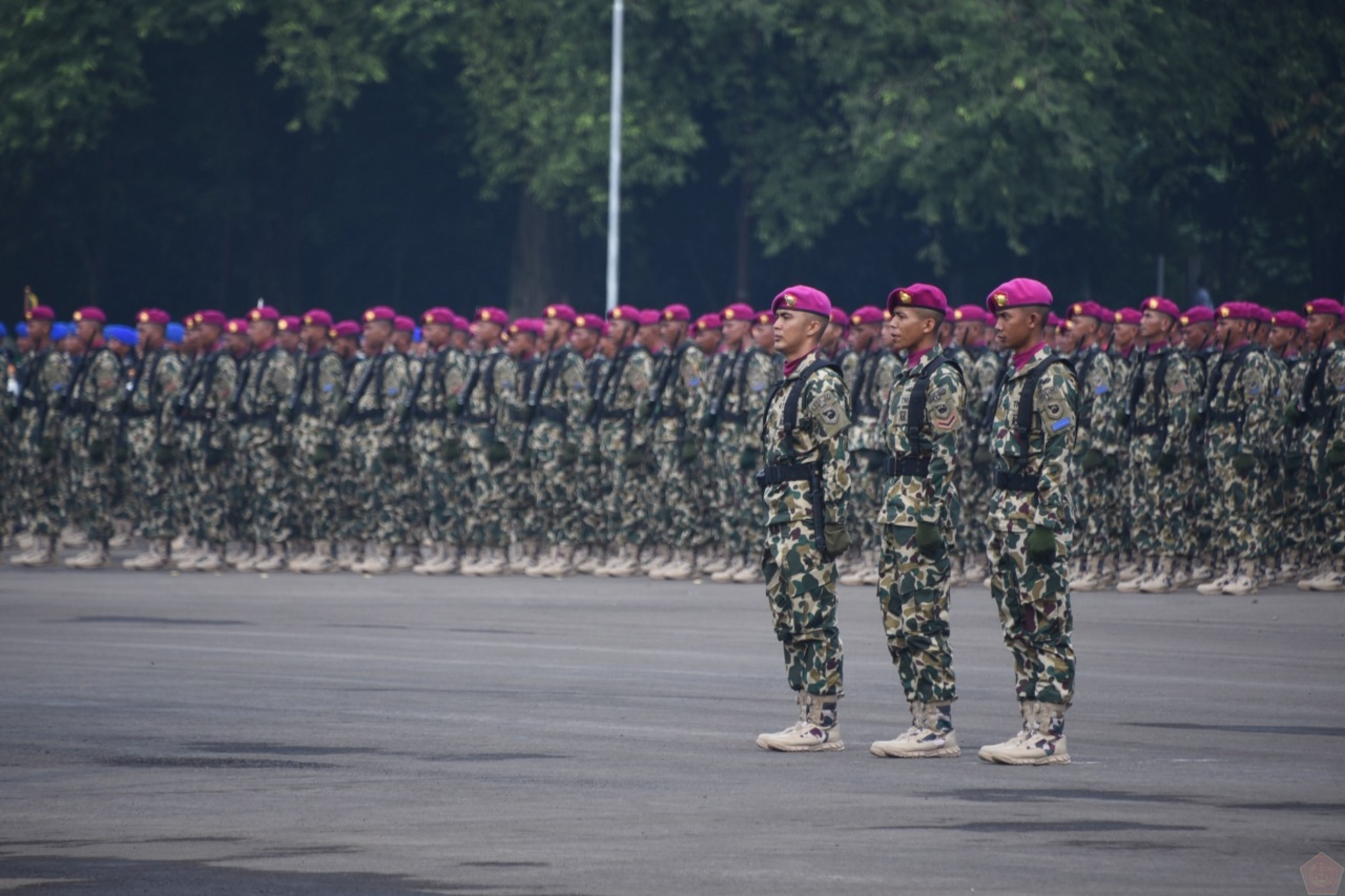 Ribuan Prajurit Pasmar 1 Ikuti Upacara Peringatan HUT Ke-77 Korps ...