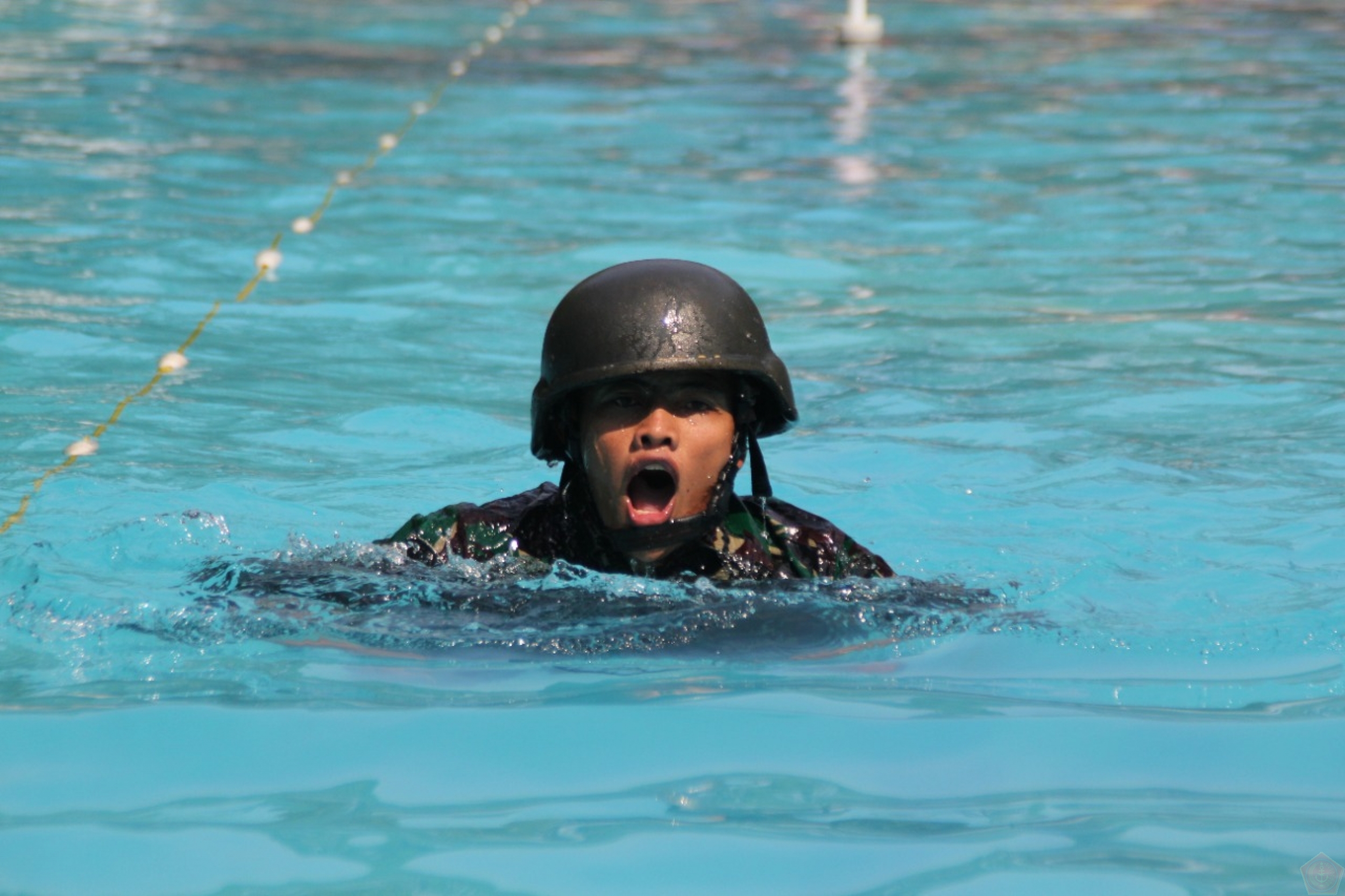 Pertajam Kemampuan, Prajurit Batalyon Kapa 1 Marinir Laksanakan Renang ...